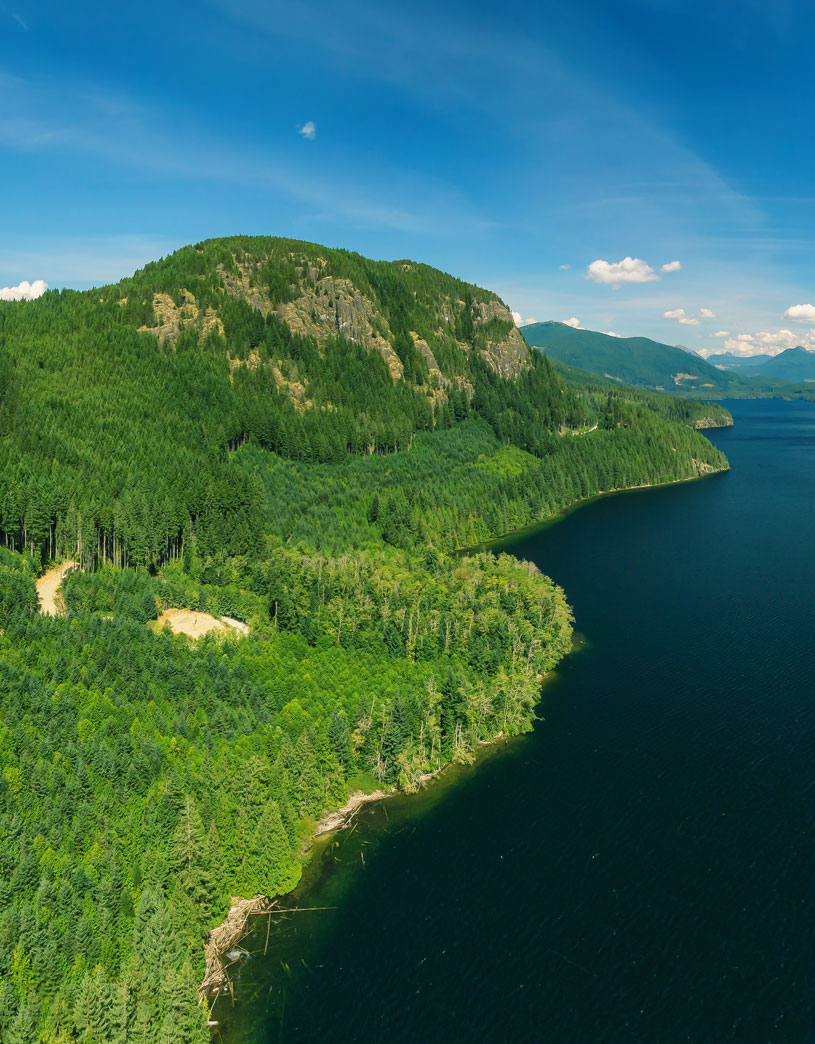 Chestnut Carbon | A Trusted Partner in Carbon Projects