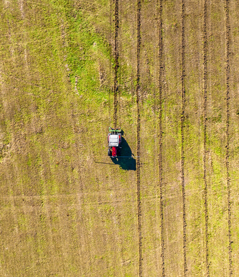 Chestnut Carbon | A Trusted Partner in Carbon Projects