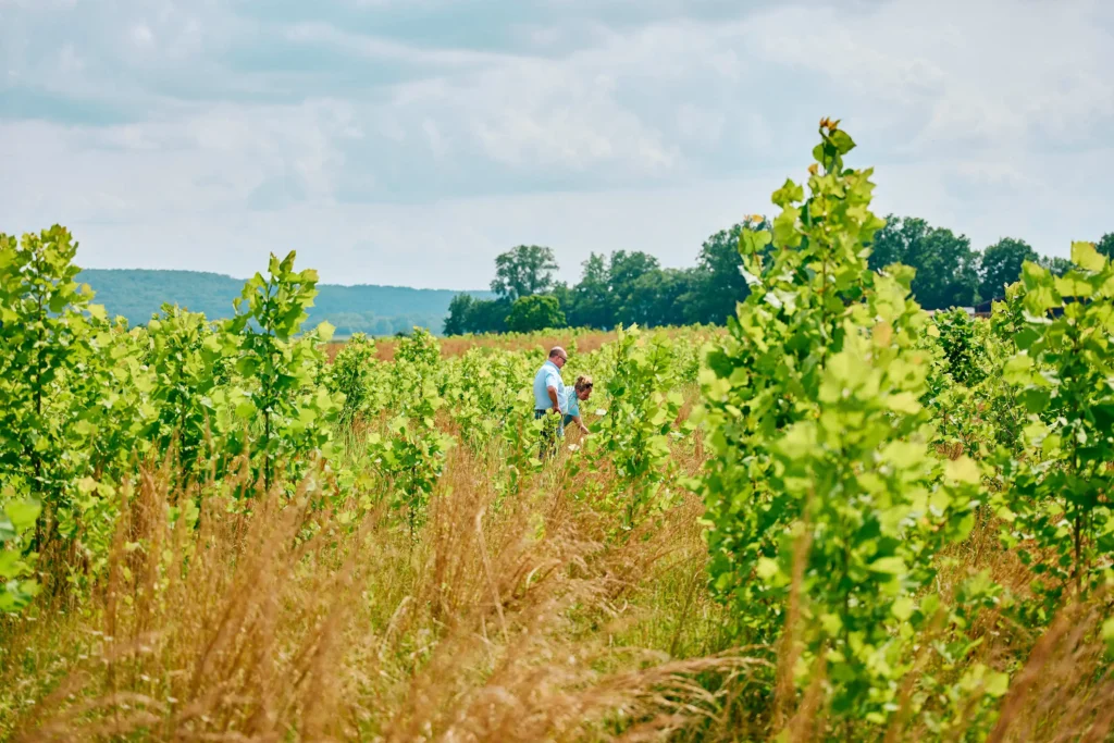 Harding-Freed-Dickson Farm in Conway County, AR | Chestnut Carbon