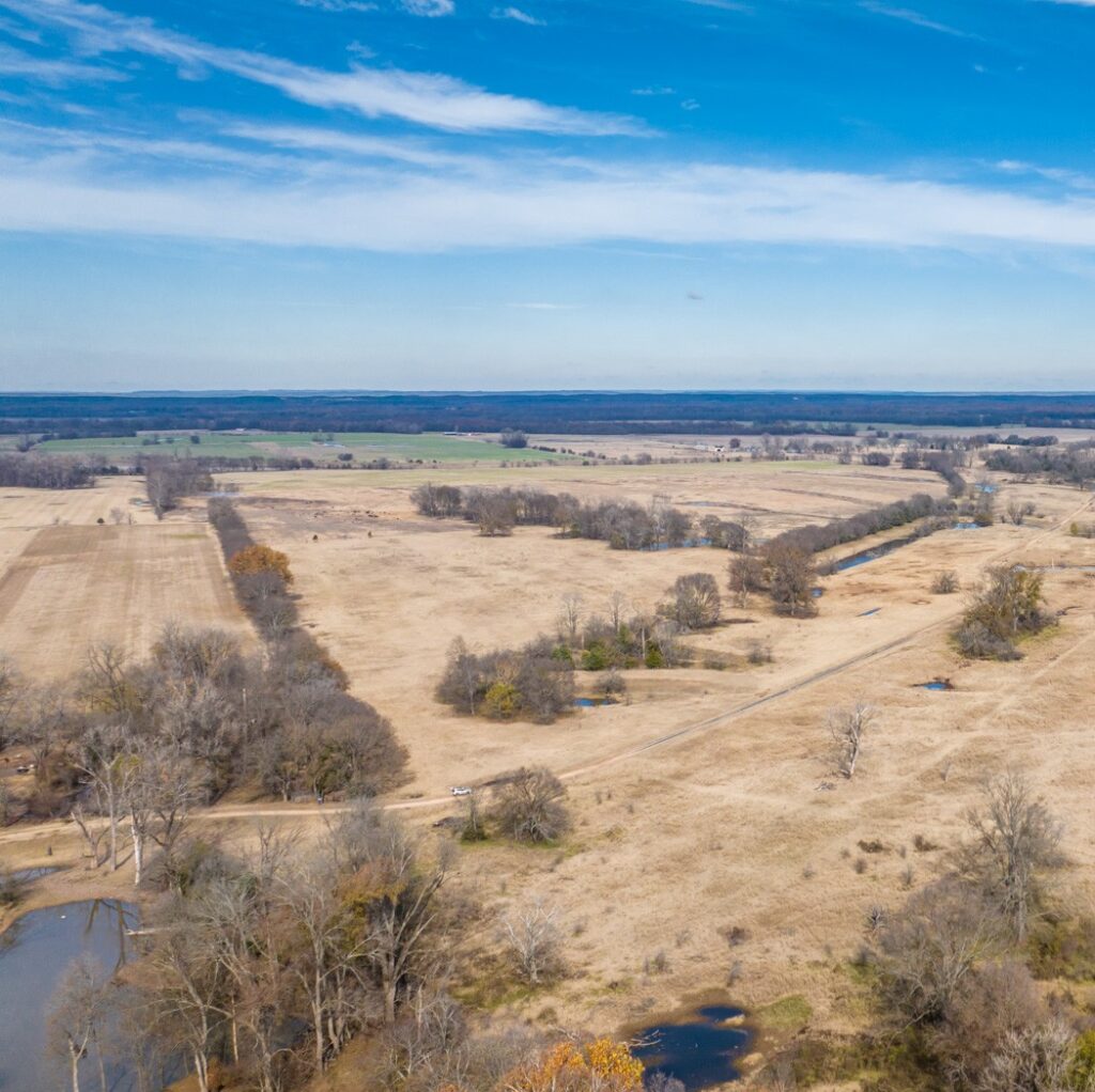 Sandy River Conway County, AR | Chestnut Carbon