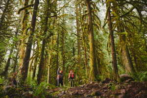 Who We Are | Chestnut Carbon