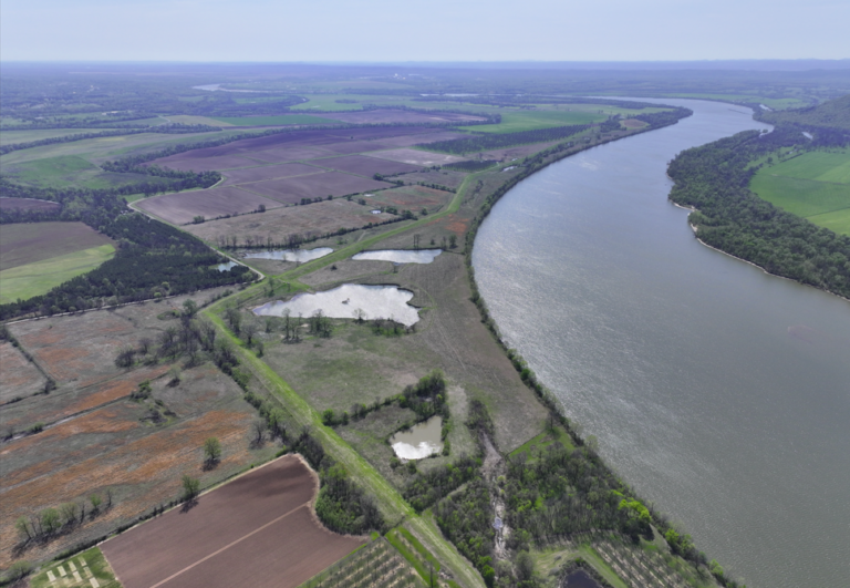 Who We Are | Chestnut Carbon