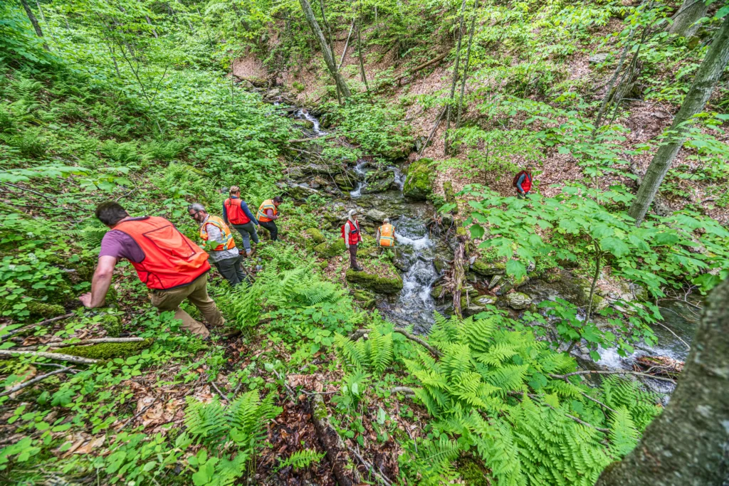 Chestnut Carbon and Microsoft Sign Offtake Agreement | Chestnut Carbon